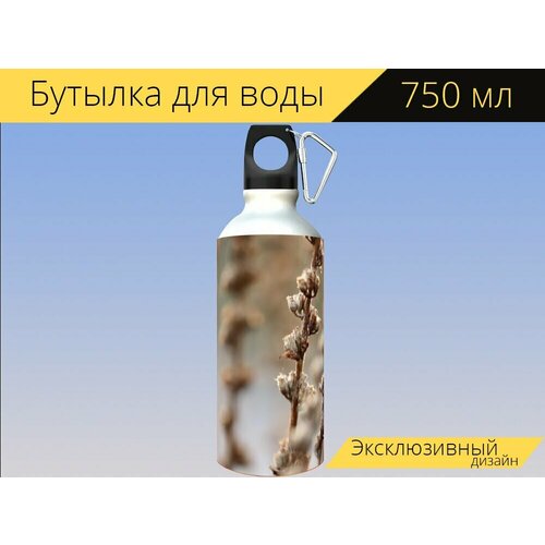 Бутылка фляга для воды "Сухая трава, сухой цветок, семена" 750 мл. с карабином и принтом