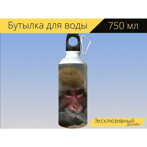 Бутылка фляга для воды "Животное, обезьяна, детские японские макаки едят листья" 750 мл. с карабином и принтом
