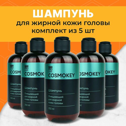 Cosmokey / Космокей Шампунь очищающий от излишней жирности и перхоти, для жирной кожи головы и волос 5 шт по 250 мл