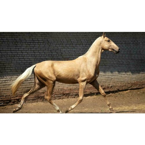 Картина на холсте 60x110 LinxOne "Животные лошади соловый" интерьерная для дома / на стену / на кухню / с подрамником
