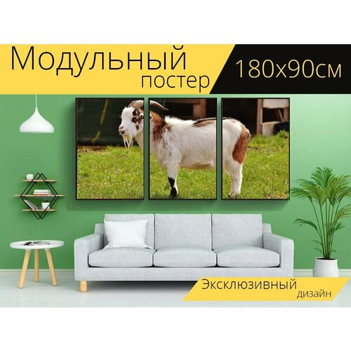 Модульный постер "Козел, козы, животное" 180 x 90 см. для интерьера