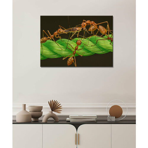 Картина -Муравей, муравей макро, муравей близко (29) 40х60