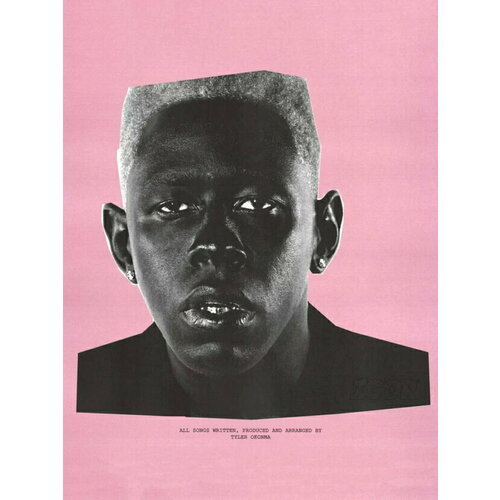 Плакат, постер на холсте Tyler, The Creator/Тайлер/музыкальные/поп исполнитель/артист/поп-звезда/группа. Размер 21 х 30 см