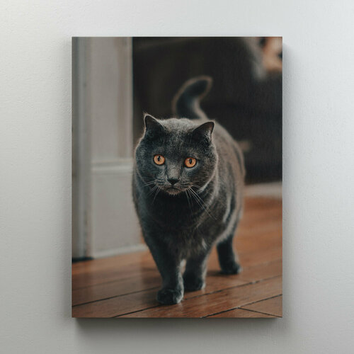 Интерьерная картина на холсте "Британский серый кот" животные, размер 45x60 см