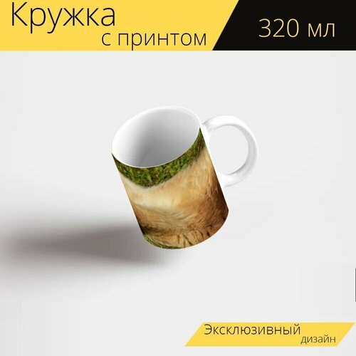 Кружка с рисунком, принтом "Кот, британская короткошерстная кошка, играть" 320 мл.