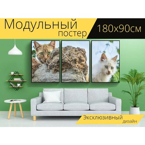 Модульный постер "Кошки, портрет, камень" 180 x 90 см. для интерьера