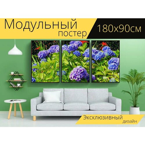 Модульный постер "Гортензии, цветок, расцветает" 180 x 90 см. для интерьера