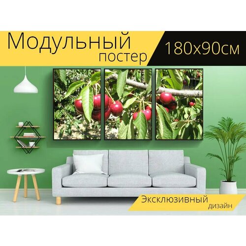 Модульный постер "Вишни, вишня, листы" 180 x 90 см. для интерьера