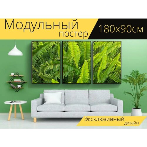 Модульный постер "Завод, зеленые растения, папоротник" 180 x 90 см. для интерьера