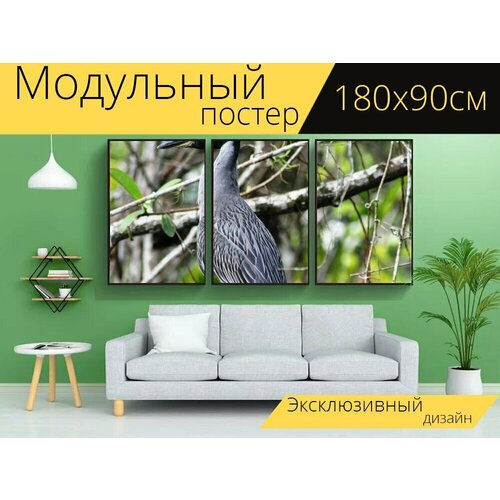 Модульный постер "Гондурас, джунгли, птица" 180 x 90 см. для интерьера