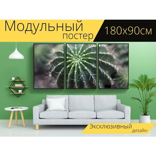 Модульный постер "Кактусы, кактус, сочный" 180 x 90 см. для интерьера