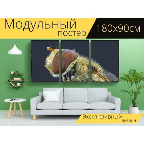 Модульный постер "Журчалки, насекомое, природа" 180 x 90 см. для интерьера