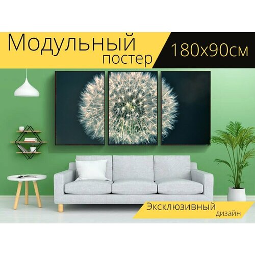 Модульный постер "Цветок одуванчика, свет, освещение" 180 x 90 см. для интерьера