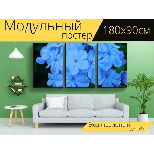 Модульный постер "Цветы, синий, синий цветок" 180 x 90 см. для интерьера
