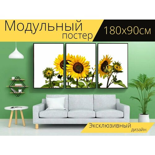 Модульный постер "Подсолнух, цветок, желтый цветок" 180 x 90 см. для интерьера