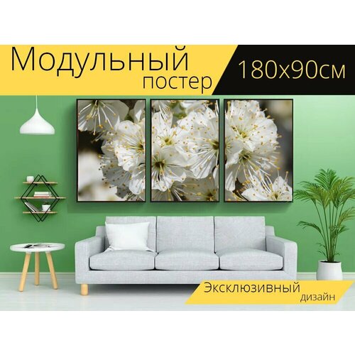Модульный постер "Цвести, цветение сливы, весна" 180 x 90 см. для интерьера