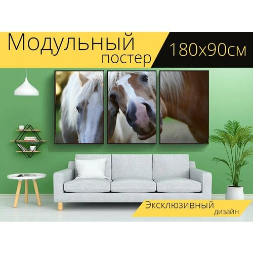 Модульный постер "Лошади, животные, любовь" 180 x 90 см. для интерьера