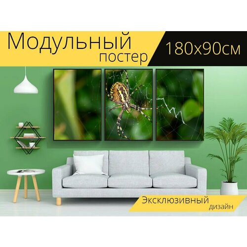Модульный постер "Оса паук, паутина, пойманный" 180 x 90 см. для интерьера