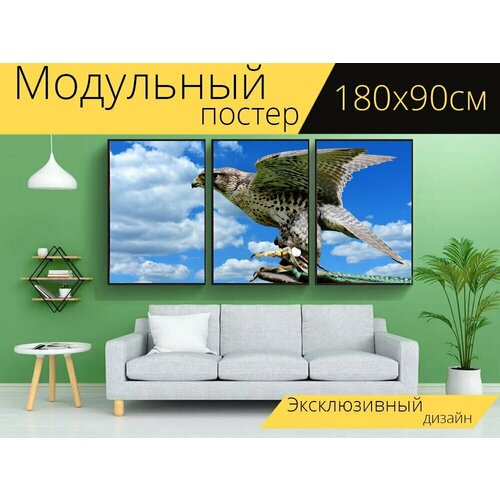 Модульный постер "Сокол, хищник, дикое животное" 180 x 90 см. для интерьера