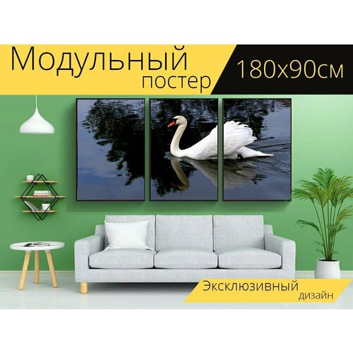 Модульный постер "Лебедь, птица, воды" 180 x 90 см. для интерьера