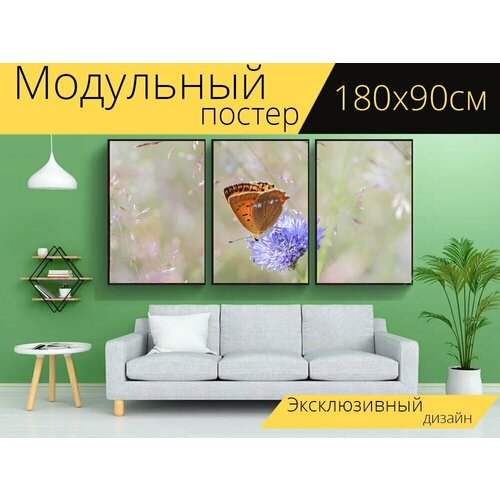 Модульный постер "Бабочка, насекомое, бабочки" 180 x 90 см. для интерьера