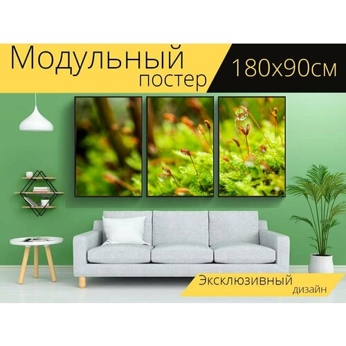 Модульный постер "Мох, капля росы, деревянный пол" 180 x 90 см. для интерьера