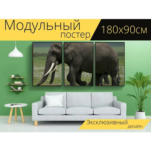 Модульный постер "Слон, животное, сафари" 180 x 90 см. для интерьера