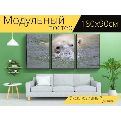 Модульный постер "Полярный медведь, животные, хищники" 180 x 90 см. для интерьера