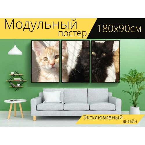 Модульный постер "Курильский бобтейл, кот, котенок" 180 x 90 см. для интерьера