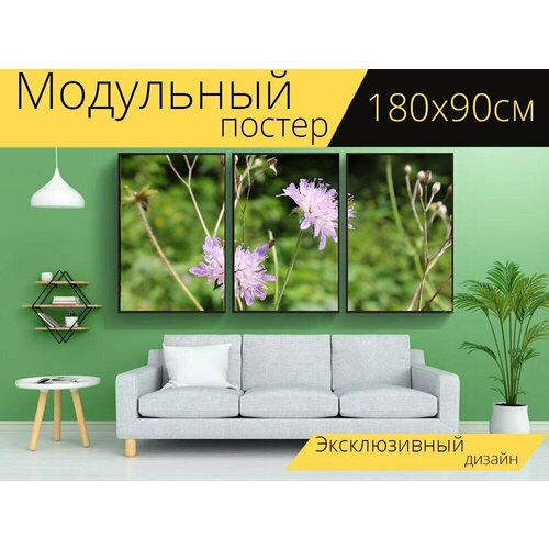 Модульный постер "Дикорастущее растение, полевые цветы, фиолетовый цветок" 180 x 90 см. для интерьера