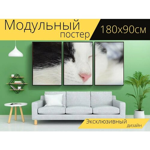 Модульный постер "Кот, домашнее животное, черно белая кошка" 180 x 90 см. для интерьера