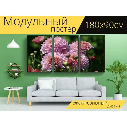 Модульный постер "Астры, цветы, сад" 180 x 90 см. для интерьера
