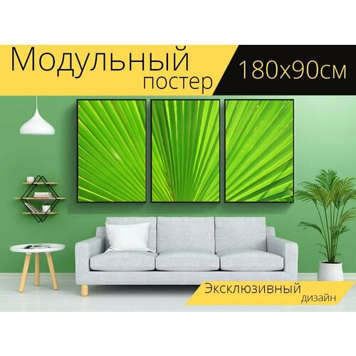 Модульный постер "Веерная пальма, ладонь, поклонник" 180 x 90 см. для интерьера