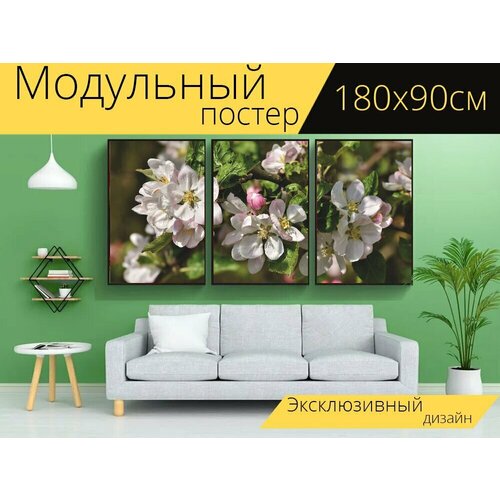 Модульный постер "Яблоневый цвет, расцветает, яблоня" 180 x 90 см. для интерьера