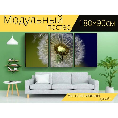 Модульный постер "Одуванчик, семена, цветок" 180 x 90 см. для интерьера