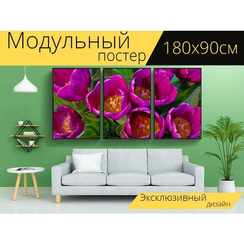 Модульный постер "Тюльпаны, розовый, цветы" 180 x 90 см. для интерьера