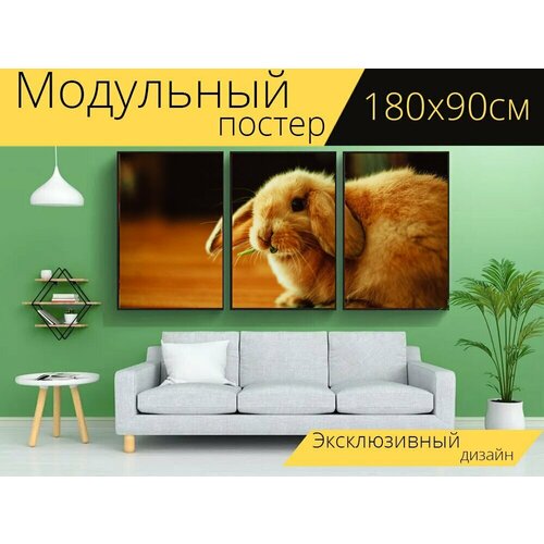 Модульный постер "Кролик, милый, пасхальный" 180 x 90 см. для интерьера