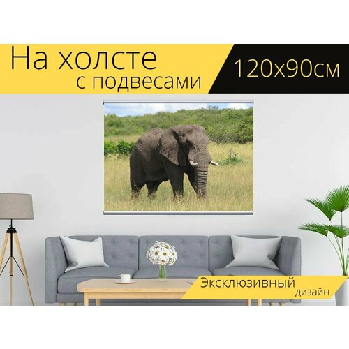 Картина на холсте "Кения, масаимара, слон" с подвесами 120х90 см. для интерьера