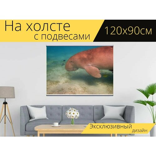 Картина на холсте "Ламантин, дюгонь, подводное плавание" с подвесами 120х90 см. для интерьера