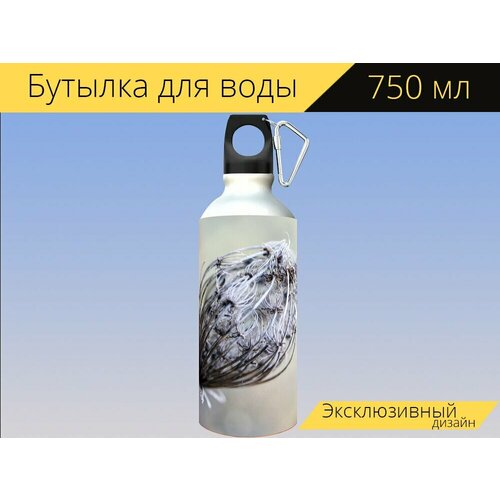 Бутылка фляга для воды "Семена, овал, сухой" 750 мл. с карабином и принтом