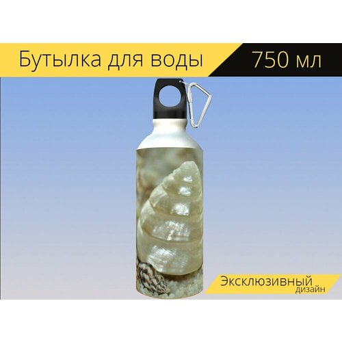Бутылка фляга для воды "Перламутр, оболочка, улитка" 750 мл. с карабином и принтом