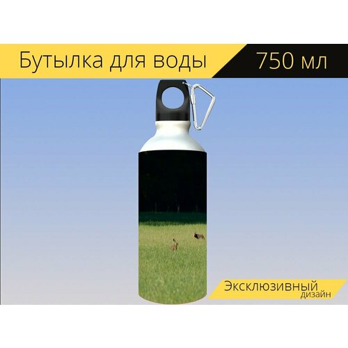 Бутылка фляга для воды "Лиса, кролик, лиса и заяц" 750 мл. с карабином и принтом