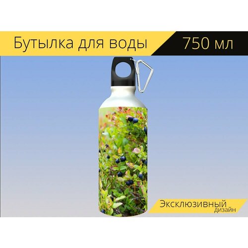 Бутылка фляга для воды "Черника, вереск, завод" 750 мл. с карабином и принтом