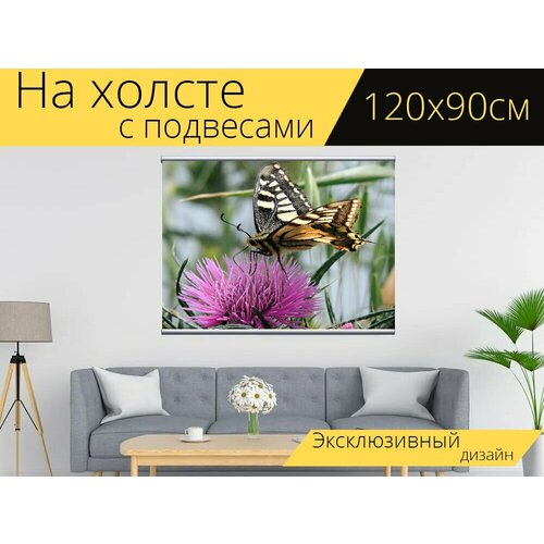 Картина на холсте "Бабочка, ласточкин хвост, али" с подвесами 120х90 см. для интерьера