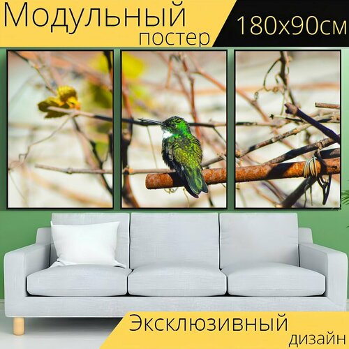 Модульный постер "Весна, колибри, птицы" 180 x 90 см. для интерьера