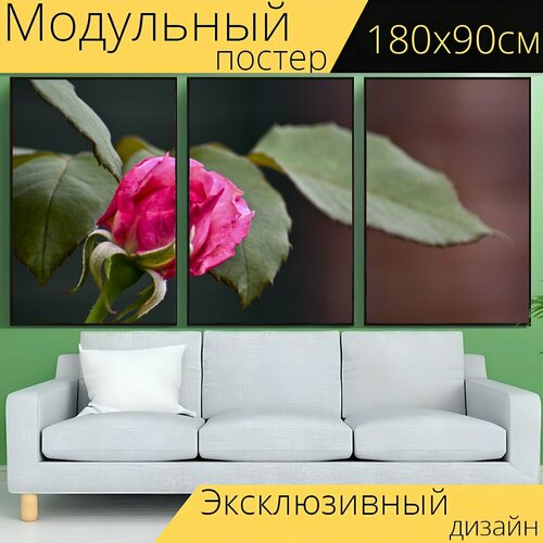 Модульный постер "Роза, розовый, любовь" 180 x 90 см. для интерьера