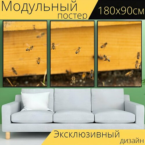 Модульный постер "Пчелы, колония, улей" 180 x 90 см. для интерьера