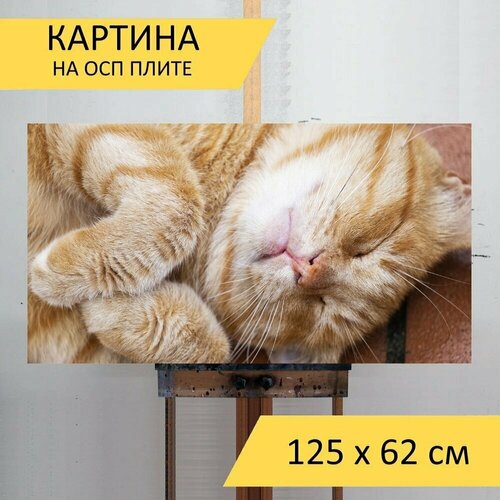 Картина на ОСП 125х62 см. "Кошка, милый, нос" горизонтальная, для интерьера, с креплениями