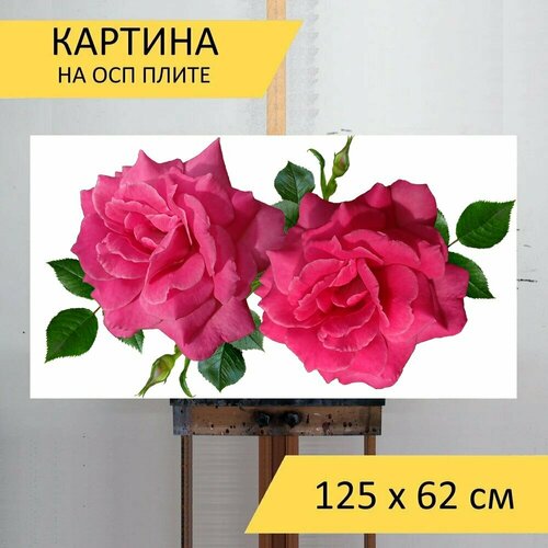 Картина на ОСП 125х62 см. "Розы, цветы, романтичный" горизонтальная, для интерьера, с креплениями