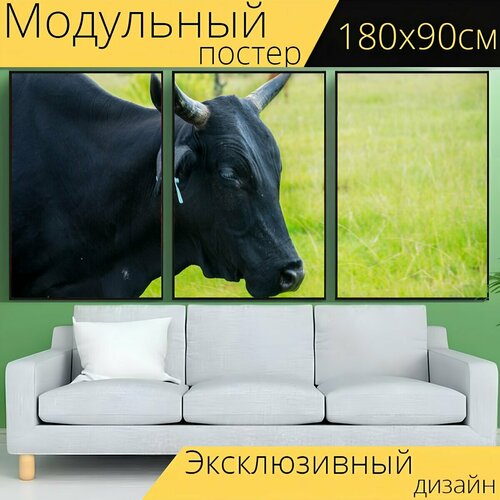 Модульный постер "Корова, телец, домашний скот" 180 x 90 см. для интерьера
